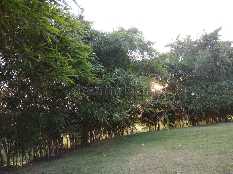 Awesome scene stock image. Image of view, garden, nice - 104763649