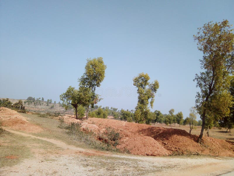 Beautiful Garden Park Ok Good Forest Field Stock Image - Image of ...