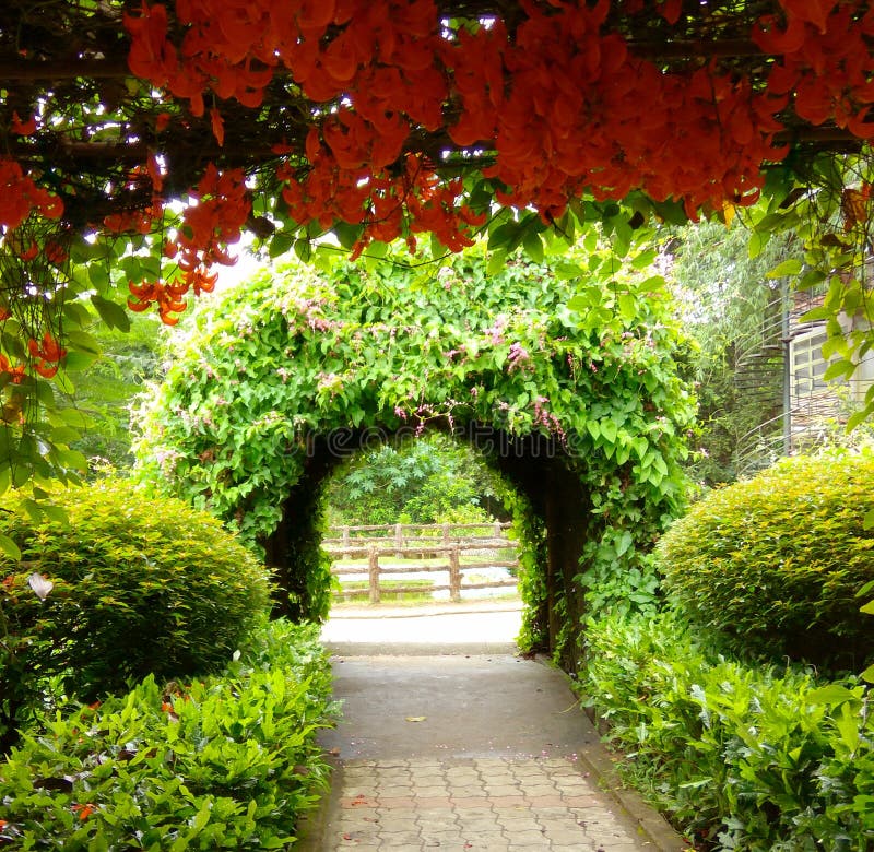 Garden path and flowers stock photo. Image of flowers - 98832656