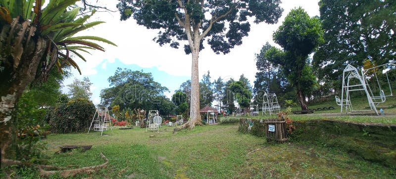 Beautiful Garden with Playground Full of Trees and Flowers Stock Photo ...