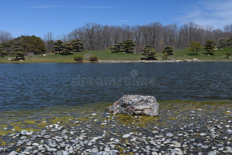 Beautiful pond in spring stock photo. Image of bright - 115180578