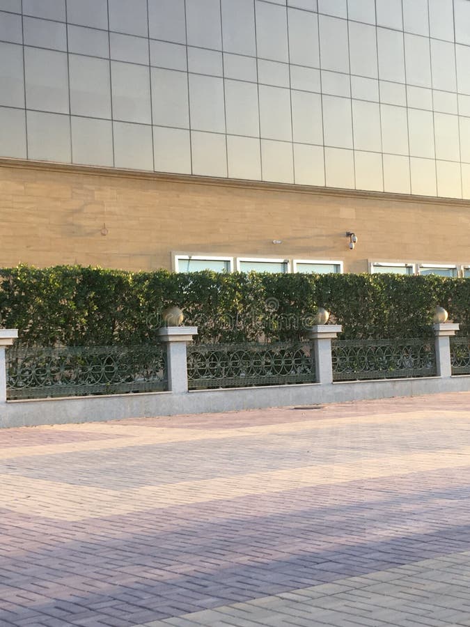 1,109 Saudi Garden Stock Photos - Free & Royalty-Free Stock Photos from ...