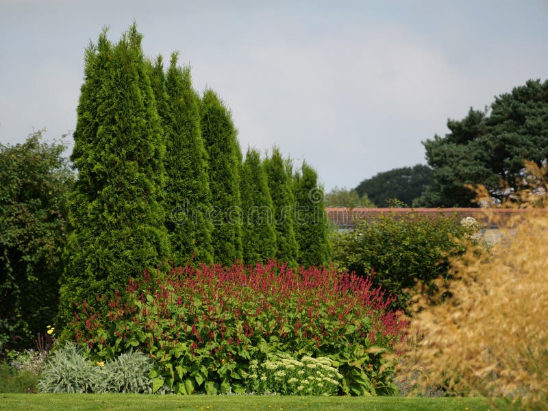 Beautiful Garden with Tall Trees and Flowers Captured during the ...