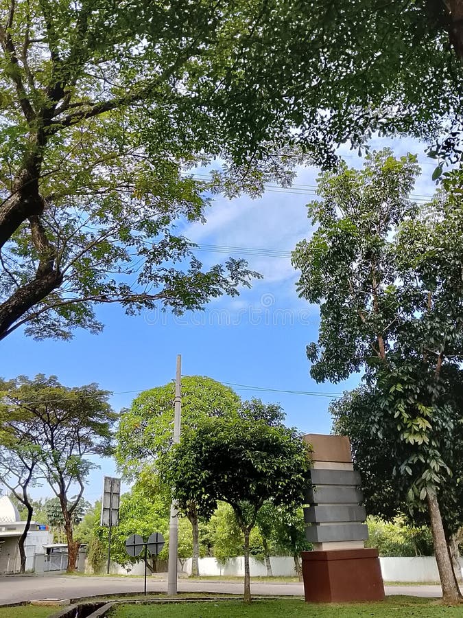 Beautiful Garden Under a Very Blue Sky Stock Photo - Image of yard ...