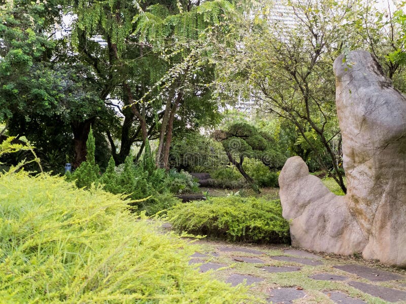Beautiful Garden View with the Exotic Trees and Greenery Stock Image ...