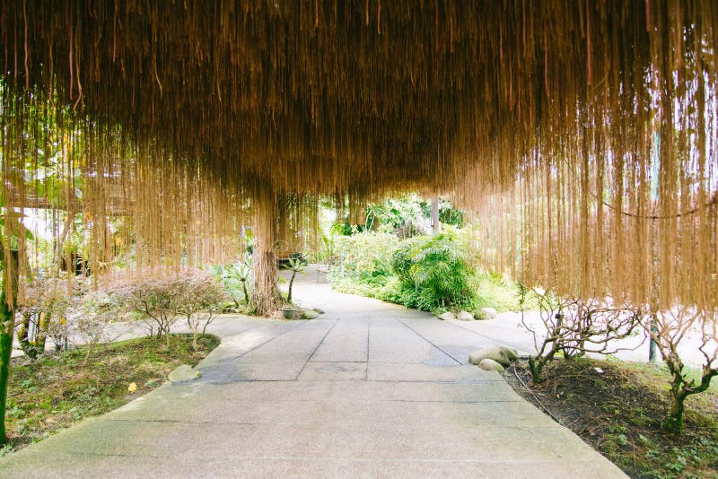 Beautiful Garden Walk Pathway Stock Photo - Image of grass, nature ...