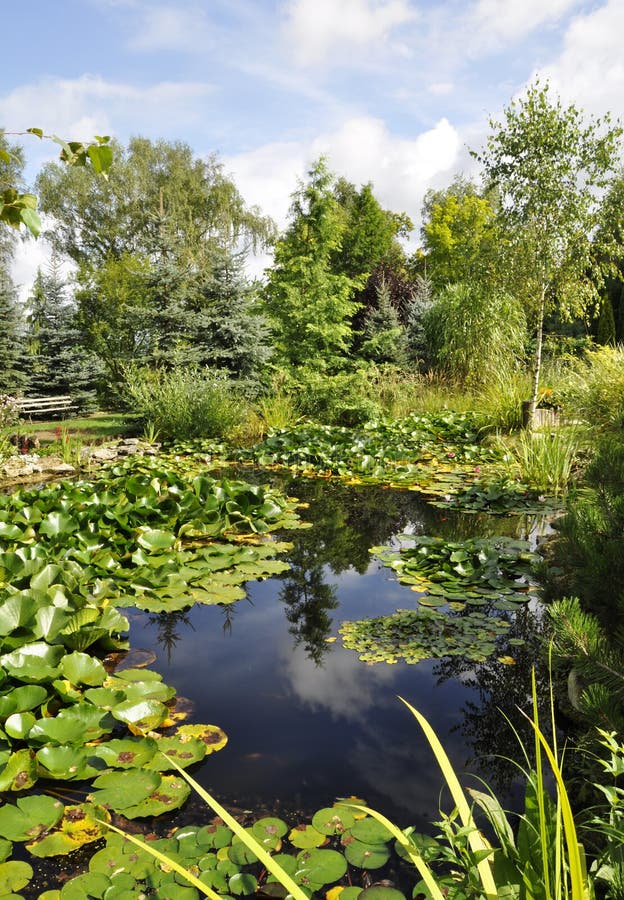 Beautiful Garden with Water-lilies Pond Stock Image - Image of lily ...