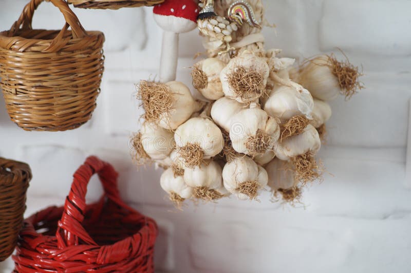 A Beautiful Garlic Bunch is Hanging in the Kitchen As Part of the Home ...