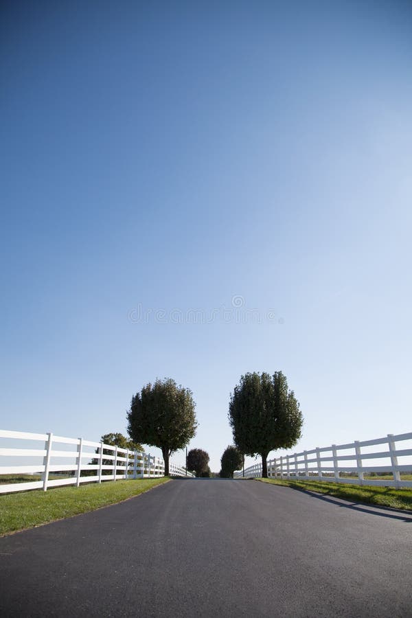Beautiful Driveway Leading To a Yellow Stock Photo - Image of travel ...