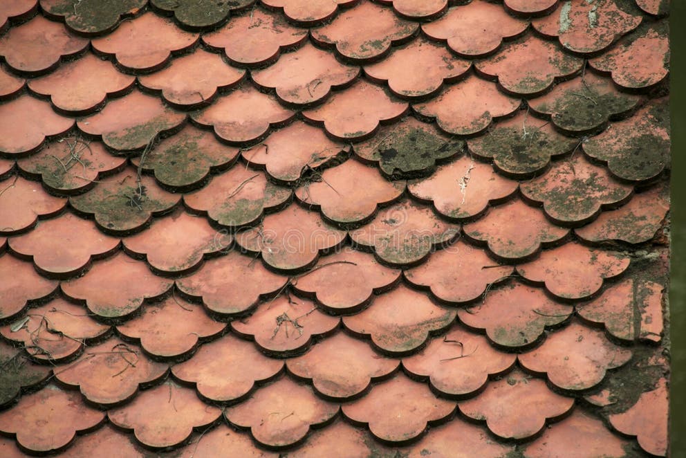 Beautiful Geometric Pattern of Red Roofing Tiles Stock Image - Image of ...