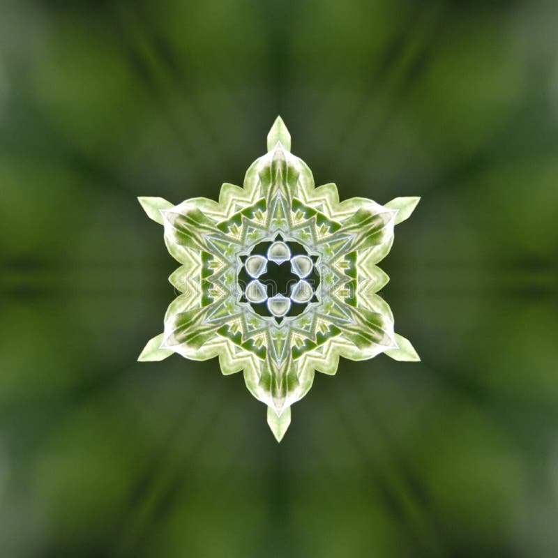 A Beautiful Geometryical Pattern Design Stock Illustration ...