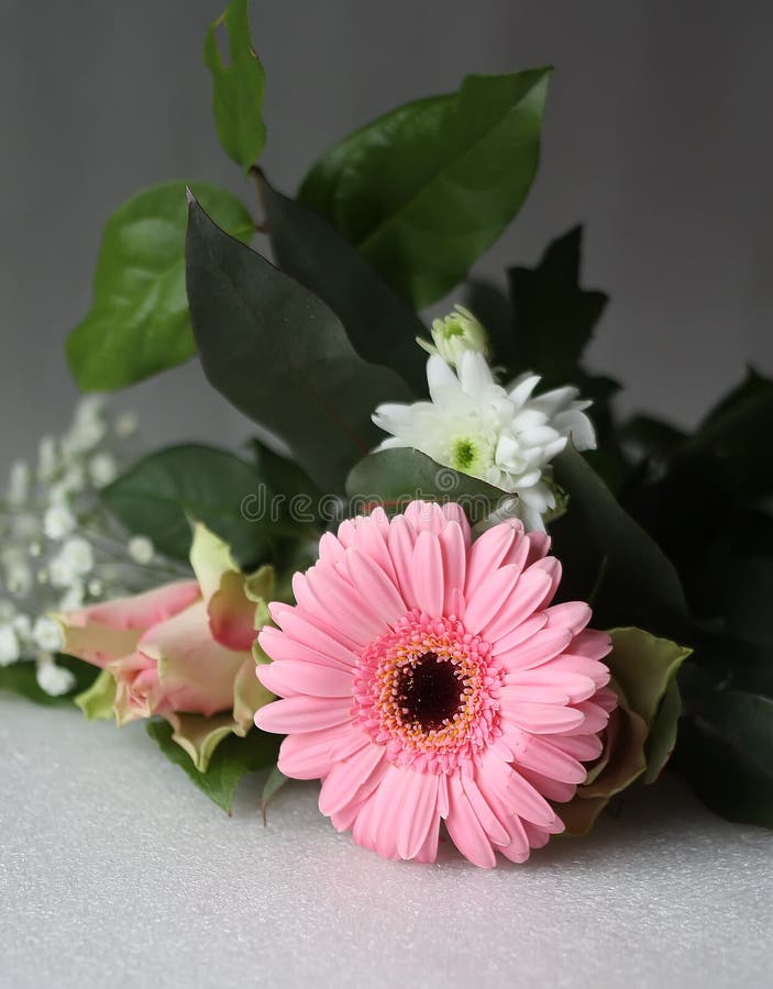 Beautiful Gerbera Flower Decoration Stock Photo - Image of gerbera ...