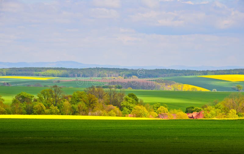 A Beautiful German Agriculture Landscape with Light and Yellow Fields ...