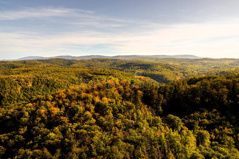 Beautiful German Forest of Thuringia Stock Photo - Image of summer ...