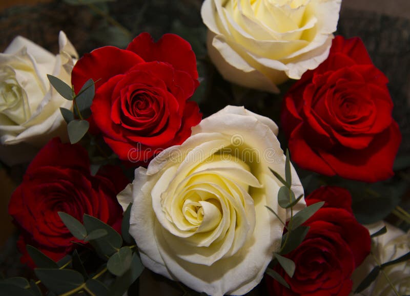 Beautiful Gift Bouquet for a Birthday. Stock Image - Image of passion ...