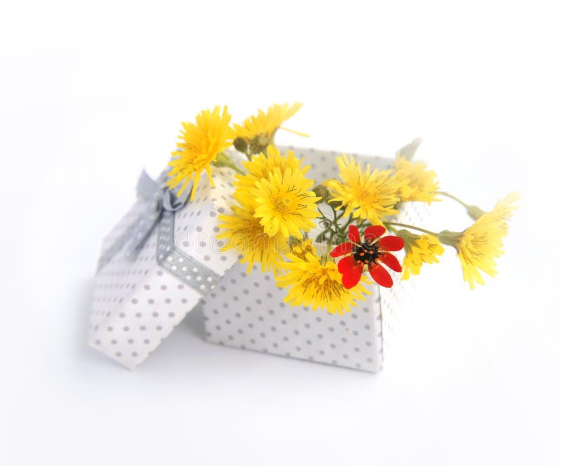 Beautiful gift box stock image. Image of romantic, present - 40312073