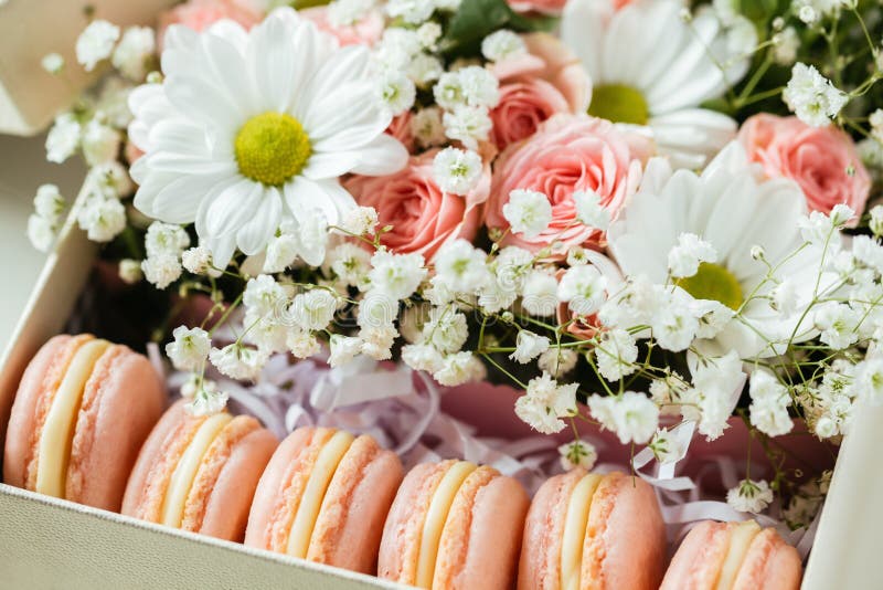 Beautiful Gift Box stock photo. Image of beautiful, botanical - 73221058