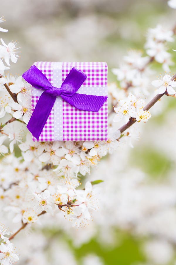 Beautiful Gift Box Surrounded by Flowering Branches of Spring Tr Stock ...