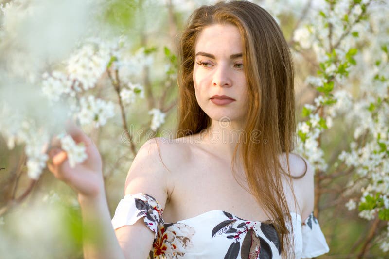 Beautiful Girl among Cherry Blossoms on a Sunny Spring Day Stock Photo ...