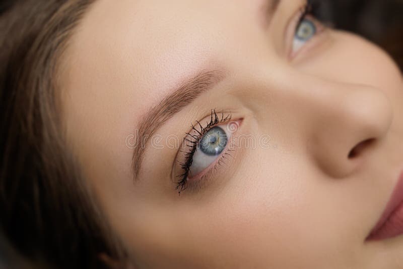 Beautiful Girl Permanent Eyebrow Makeup Correction. the Second PMU ...