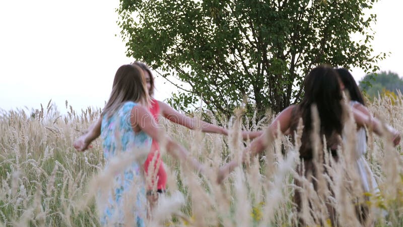 Beautiful Girl Dancing in a Field - Spikes in the Sunset Stock Video ...