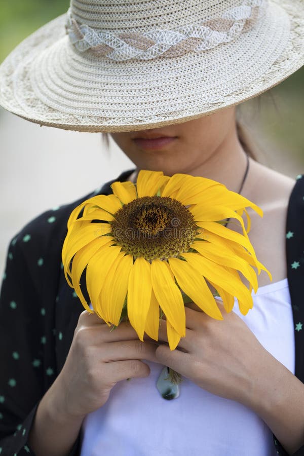 A Beautiful Girl Holding a Sunflower Stock Photo - Image of dating ...