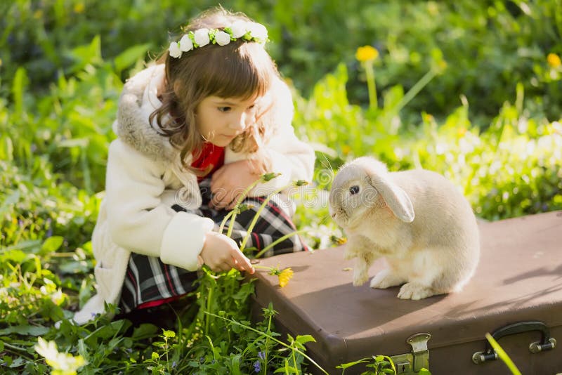 Beautiful Girl with a Rabbit in the Woods Stock Image - Image of cute ...