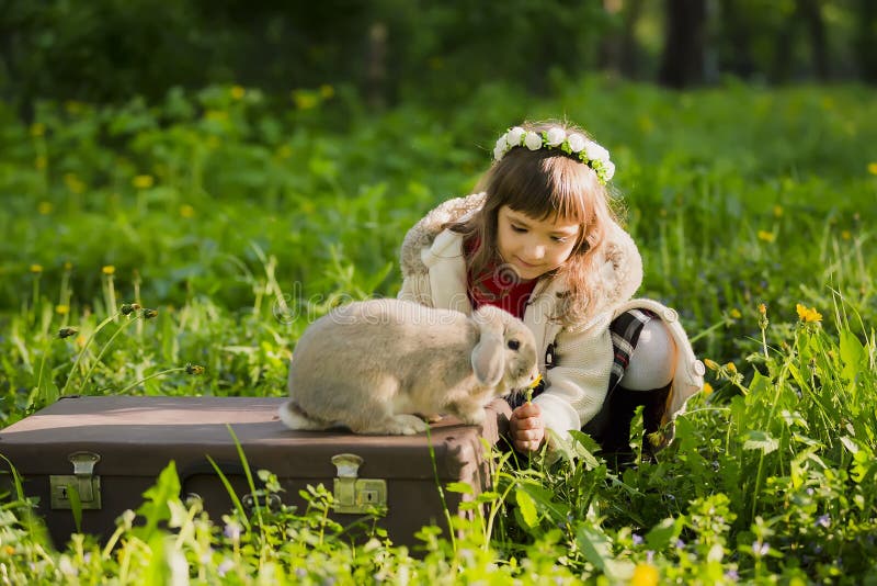 Beautiful Girl with a Rabbit in the Woods Stock Photo - Image of nature ...
