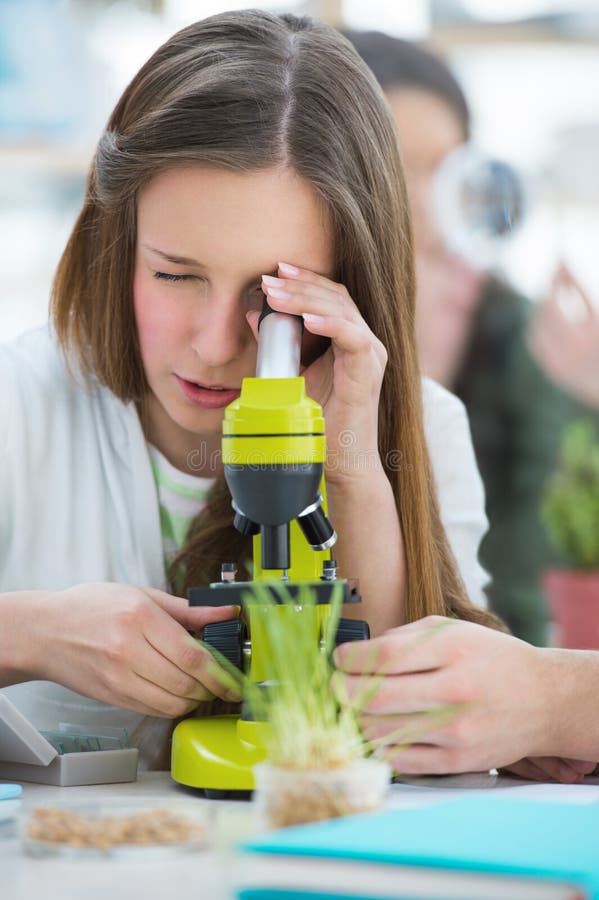 Beautiful Girl Student Working at Biology Classroom Stock Photo - Image ...