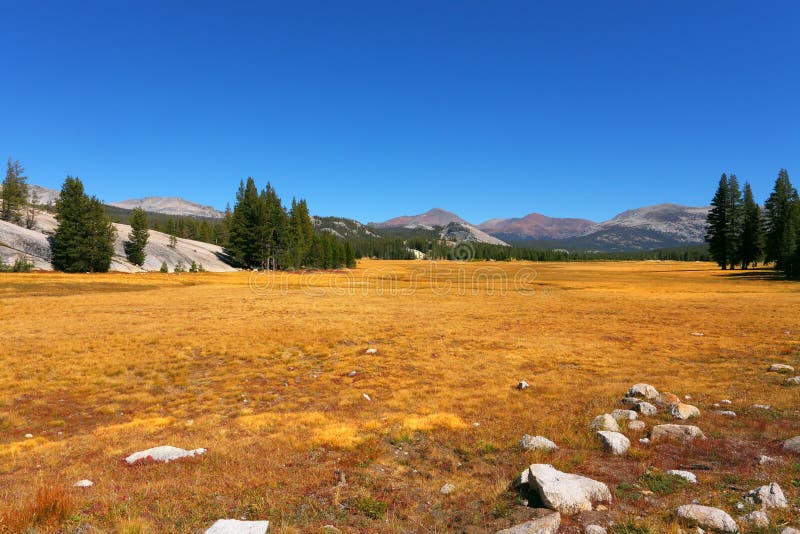 The Beautiful Glade on Midday Stock Photo - Image of scenic, landscape ...