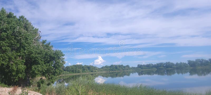 Beautiful glass lake stock photo. Image of wetland, reservoir - 255463550