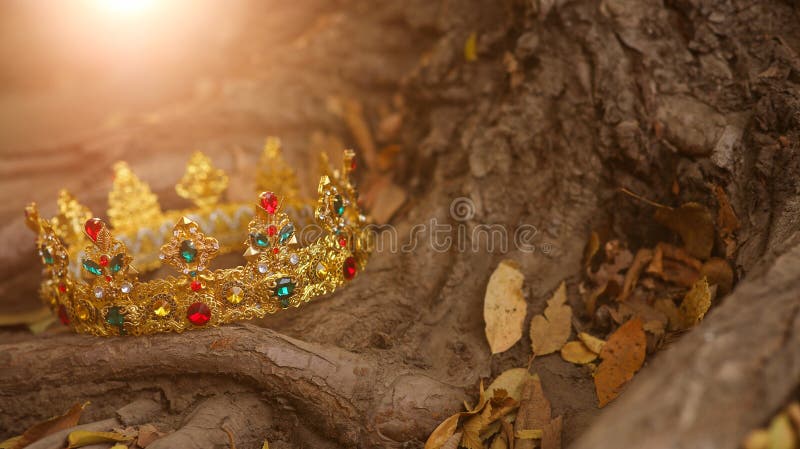Beautiful Golden Crown on Tree Roots. Fantasy Item Stock Photo - Image ...