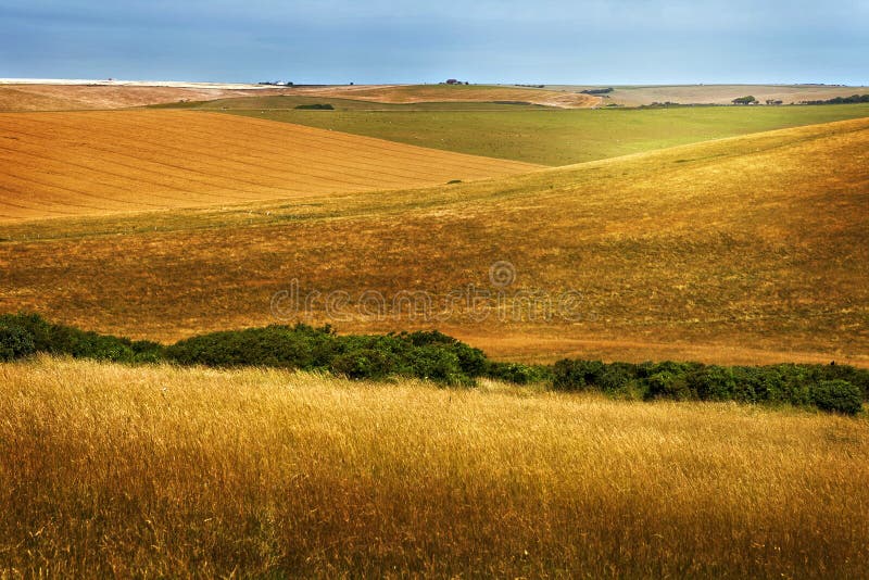 Beautiful Golden Fields and Hills Stock Image - Image of meadow, grain ...