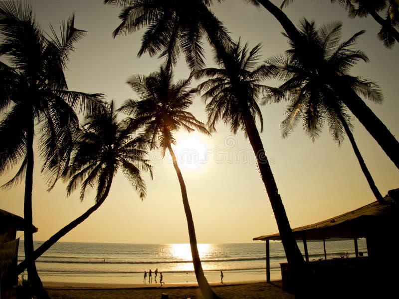 Beautiful Golden Sunset on the Beach, GOA, India Stock Photo - Image of ...