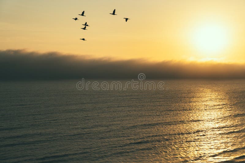 Beautiful Golden Sunset Over the Pacific Ocean Coast in Lima, Peru ...