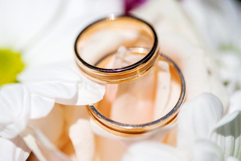 Beautiful Golden Wedding Rings on the Spring Tender Flowers Stock Image ...