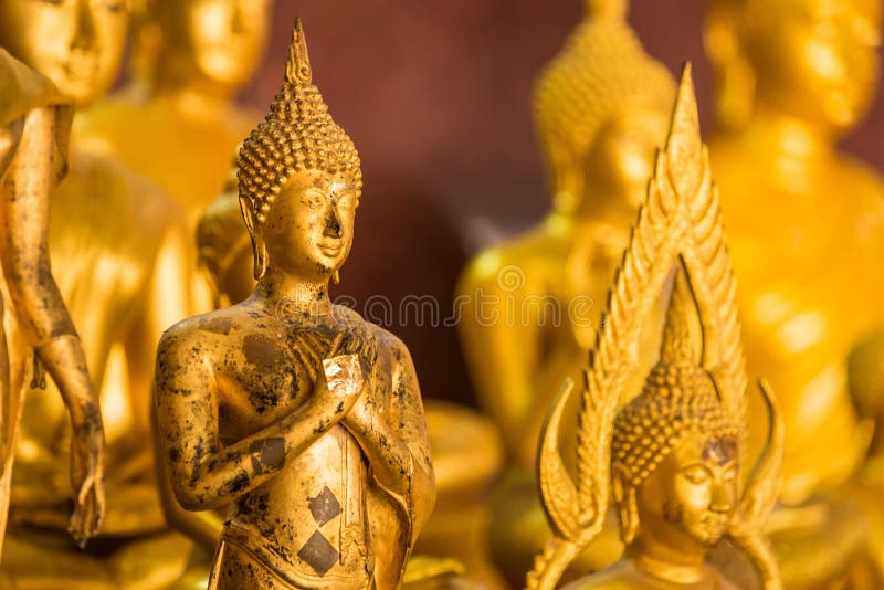 Beautiful Golden Yellow Buddha Statue in the Temple Stock Photo - Image ...