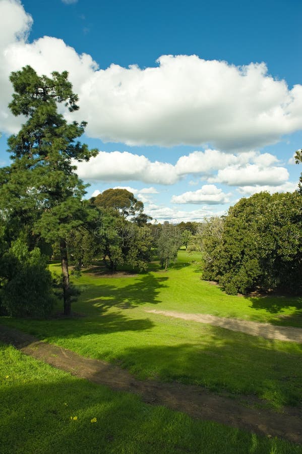 Beautiful golf course stock photo. Image of tree, leisure - 16304574