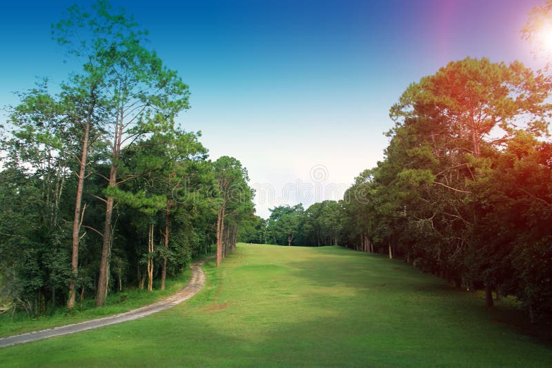 The Evening Golf Course Has Sunlight Shining Down Stock Photo - Image ...