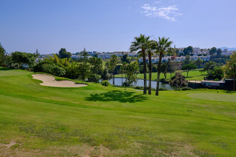 Beautiful Golf Course with Green Grass, Different Types of Trees, and a ...