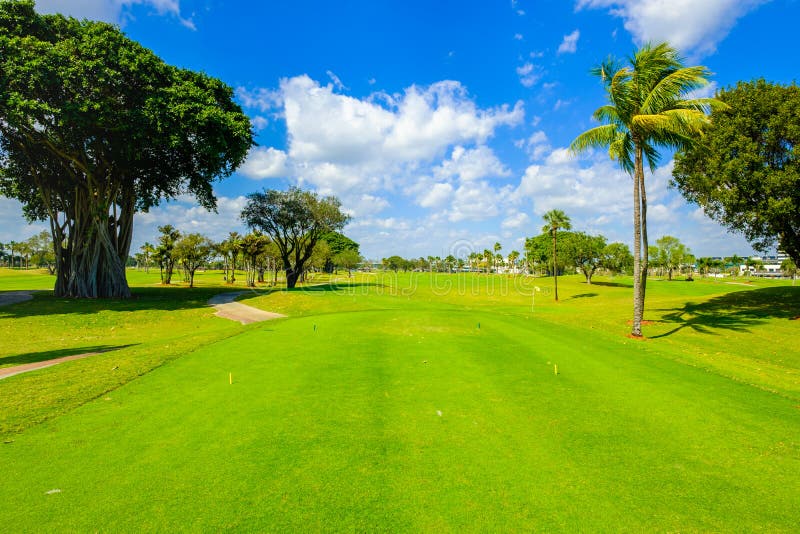 Beautiful golf course stock image. Image of grass, natural - 86269127
