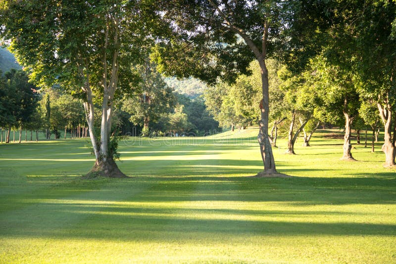 A Beautiful Golf Course in the Sunny Day Stock Image - Image of nature ...