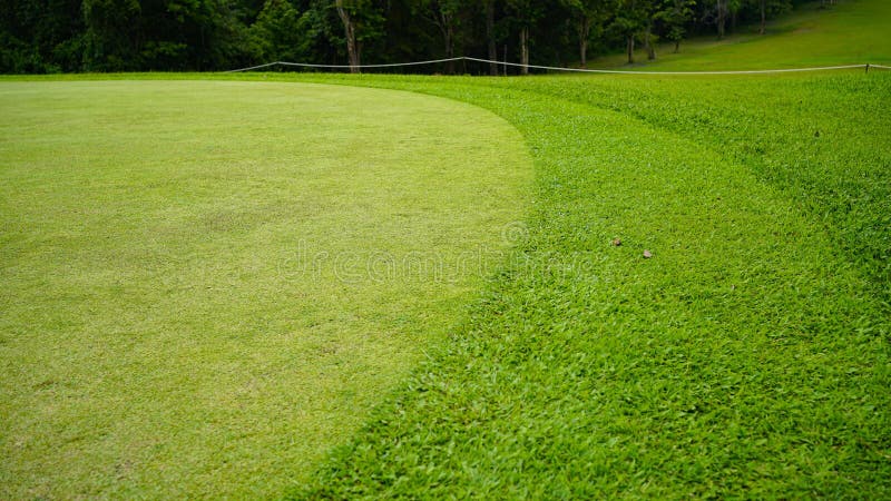 Beautiful Golf Course in a Sunny Day. Background Evening Golf Course ...