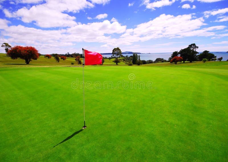 Beautiful Golf Green stock image. Image of inches, grass - 3849451