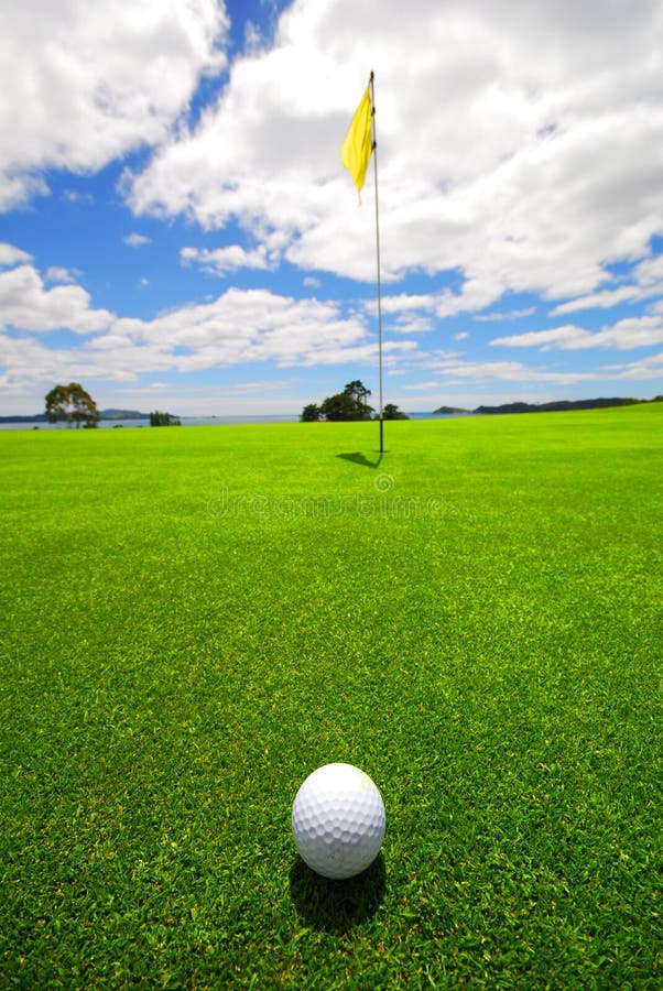Beautiful Golf Green stock image. Image of inches, grass - 3849451
