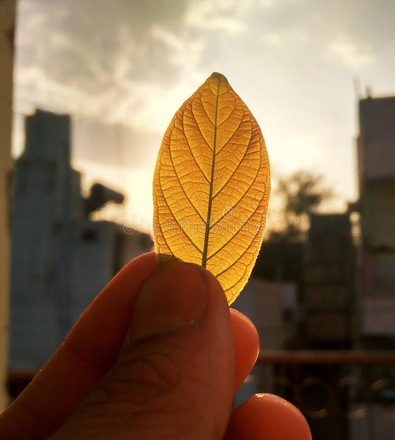 Silver Clouds stock image. Image of fall, silver, clouds - 56922055