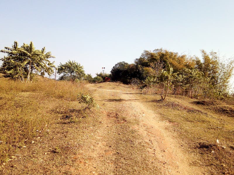 Beautiful Good Achcha Forest Field Photo Stock Image - Image of forest ...