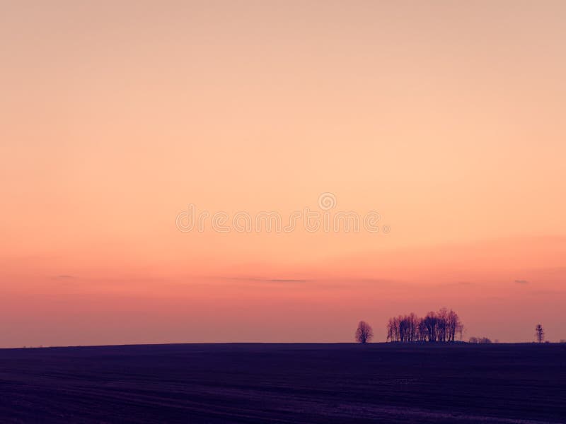 Beautiful Gradient Sky Over a Field at Sunset Stock Photo - Image of ...
