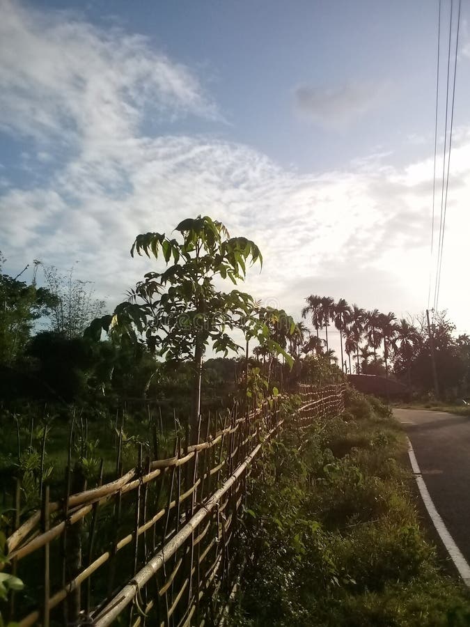 Beautiful Grameen Natural Road View Stock Photos - Free & Royalty-Free ...