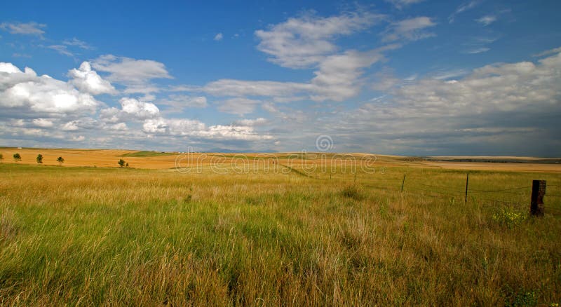 Beautiful Grass Field and Blue Skies Stock Image - Image of meadow ...